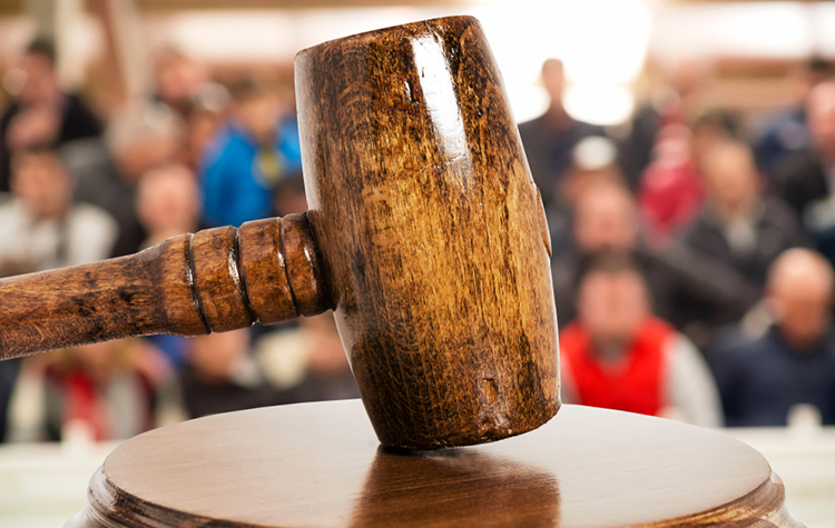 Como Funciona um Leilão - Tudo o que você precisa saber antes de ...